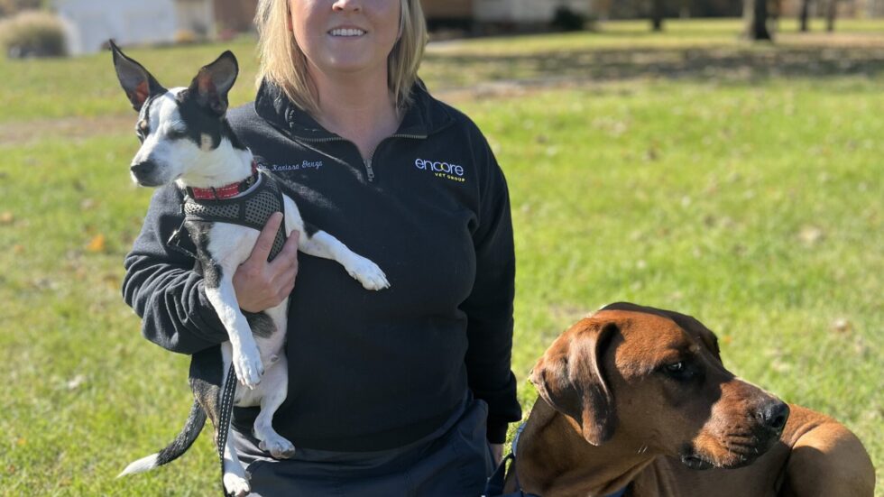 Best Vet Hospital In Adrian, MI | Kelly Veterinary Clinic