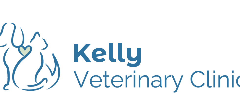 Payment Plans | Kelly Veterinary Clinic